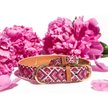 FRIENDSHIPCOLLAR Pedigree Princess Leather Dog Collar with Friendship ...