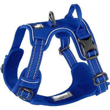 BLUE DOG HARNESSES (Free Shipping) | Chewy