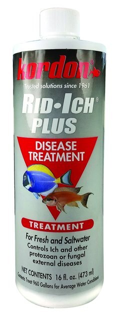 KORDON Rid-Ich Plus Disease Aquarium Treatment, 16-oz bottle - Chewy.com