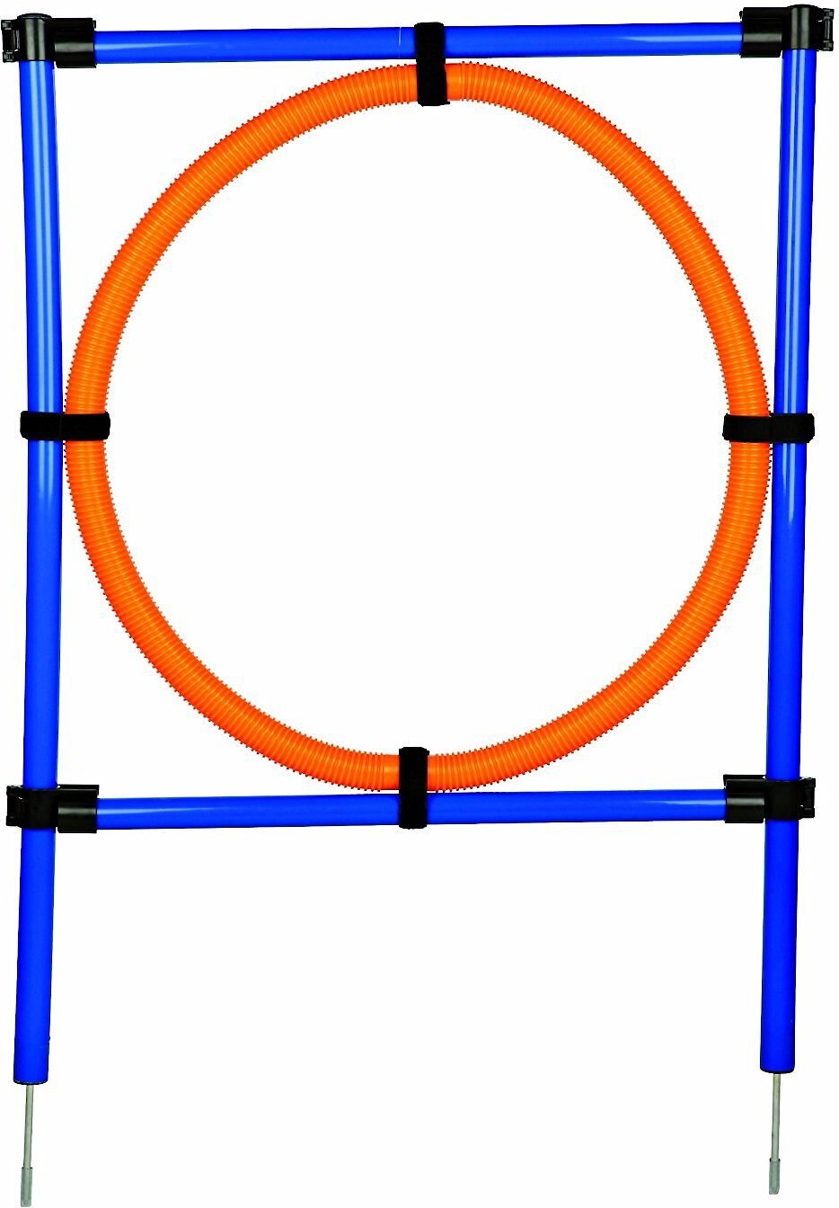 TRIXIE Agility Dog Training Ring - Chewy.com
