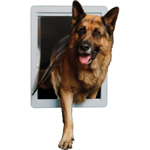 10 Best Dog Doors 2024: According to Reviews | Chewy