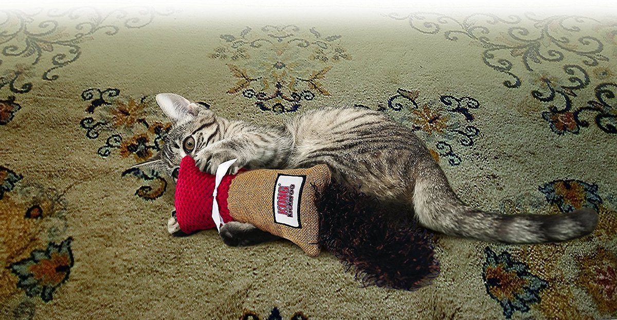 KONG Kickeroo Cuddler Cat Toy, Color Varies - Chewy.com