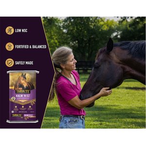 10 Best Complete Horse Feeds 2025: According to Reviews | Chewy