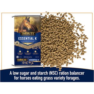 10 Best Horse Feeds 2025: According to Reviews | Chewy