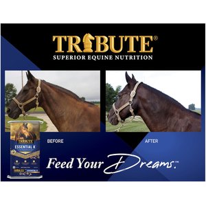 10 Best Ration Balancers for Horses 2025: According to Reviews | Chewy