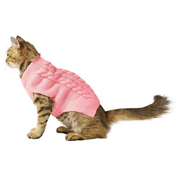 Cat Clothes: Shirts, Sweaters, Jackets & More (Free Shipping) | Chewy