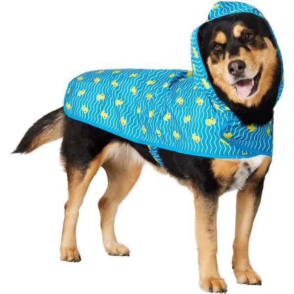 FRISCO Lightweight Rubber Ducky Dog Raincoat, Blue, XX-Large - Chewy.com