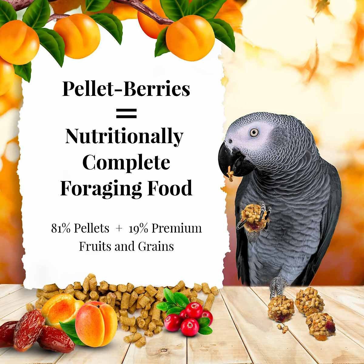 LAFEBER Pellet-Berries Sunny Orchard Parrot Food, 10-oz bag - Chewy.com