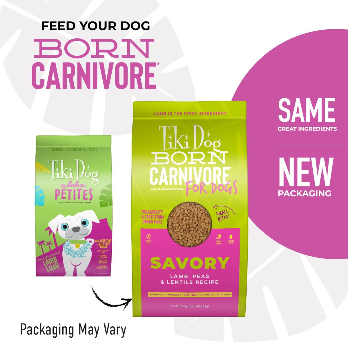TIKI DOG Born Carnivore Savory Lamb, Peas & Lentils, Baked Dry Dog Food ...