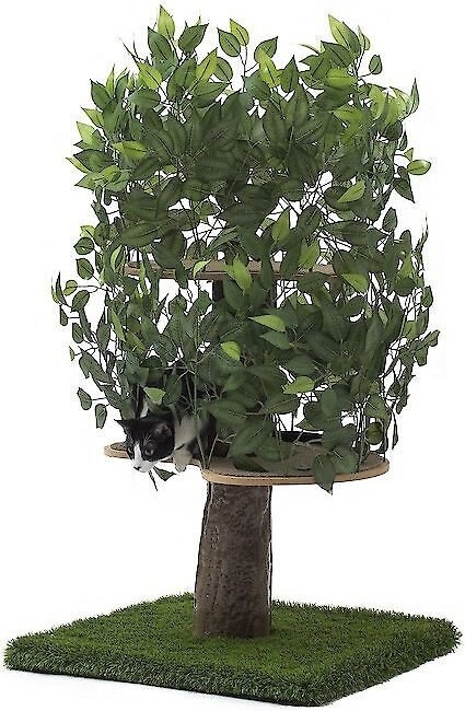 ON2PETS 48-in Medium Square Modern Cat Tree - Chewy.com