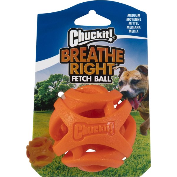 PET QWERKS Blinky Babble Ball Dog Toy, Small - Chewy.com