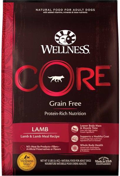 Discontinued - WELLNESS CORE Grain-Free Lamb Recipe Dry Dog Food, 12-lb ...