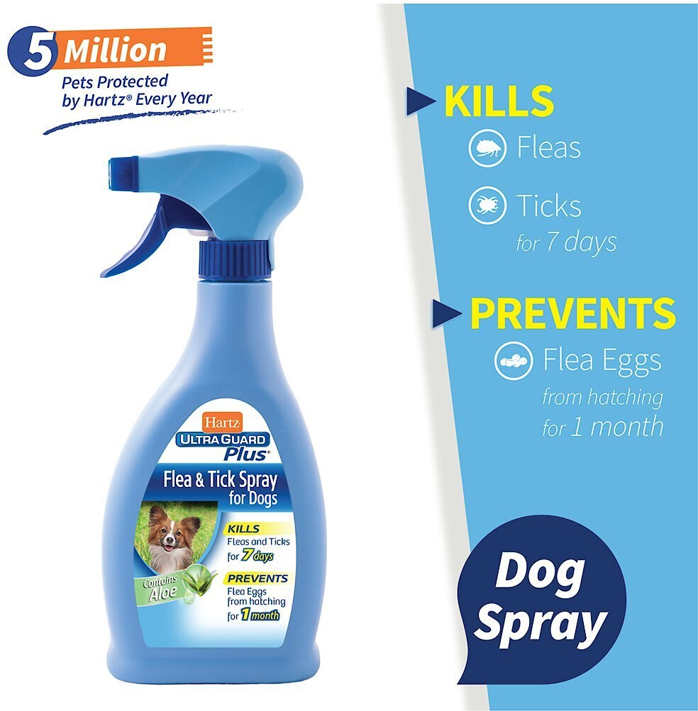 HARTZ UltraGuard Plus Topical Flea & Tick Spray for Dogs, 16-fl oz ...