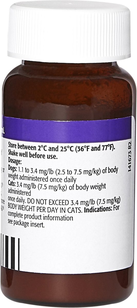 ORBAX (orbifloxacin) Oral Suspension for Dogs & Cats, 30 mg/mL, 20-mL ...