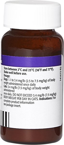 Out of Stock - ORBAX (orbifloxacin) Oral Suspension for Dogs & Cats, 30 ...