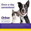 ORBAX (orbifloxacin) Oral Suspension for Dogs & Cats, 30 mg/mL, 20-mL ...