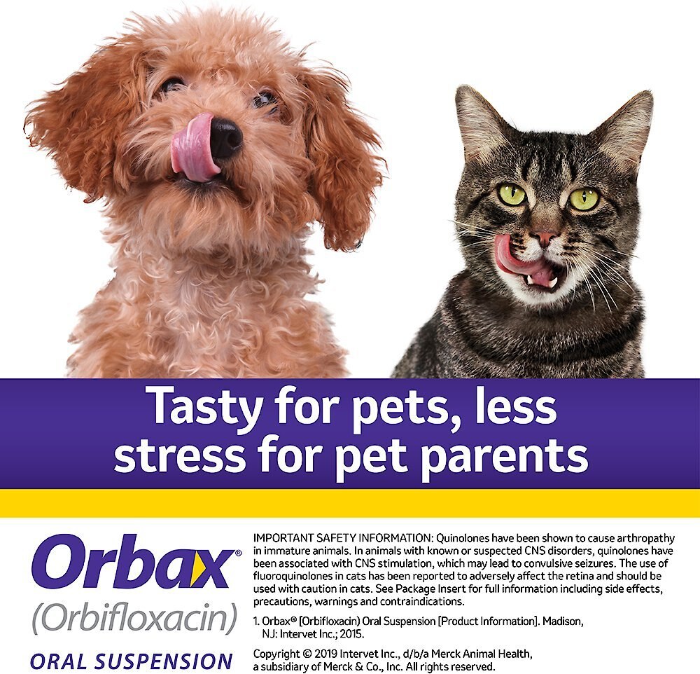 ORBAX (orbifloxacin) Oral Suspension for Dogs & Cats, 30 mg/mL, 20-mL ...