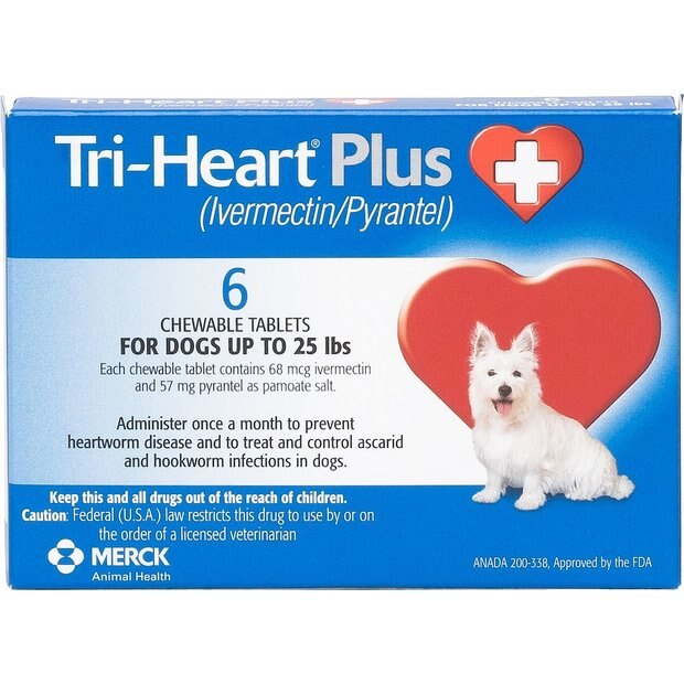 HEARTWORM MEDICINE FOR SMALL DOGS (Free Shipping) | Chewy