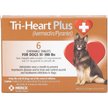 TRI-HEART PLUS Chewable Tablet for Dogs, 51-100 lbs, (Brown Box), 6 ...