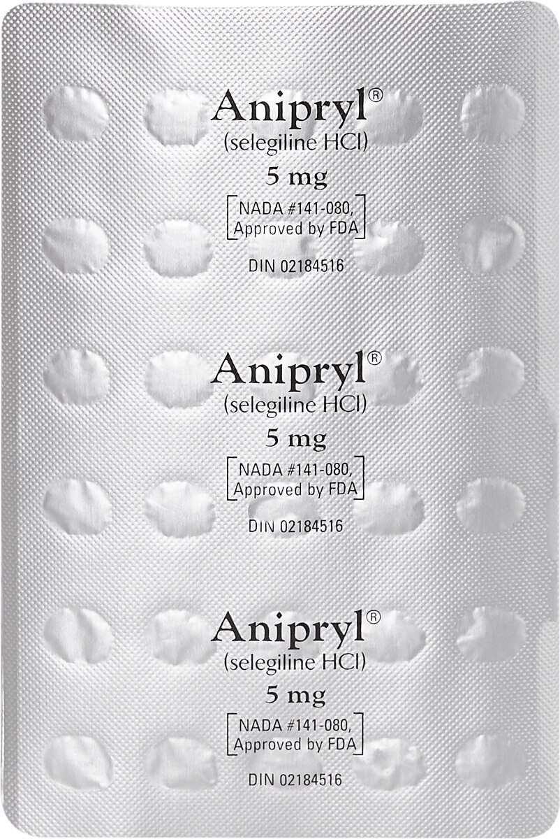 Discontinued - ANIPRYL (Selegiline HCl) Tablets for Dogs, 30 tablets, 5 ...