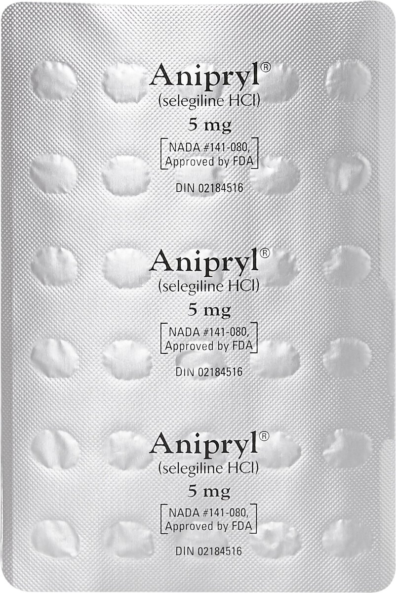 Discontinued - ANIPRYL (Selegiline HCl) Tablets for Dogs, 30 tablets, 5 ...