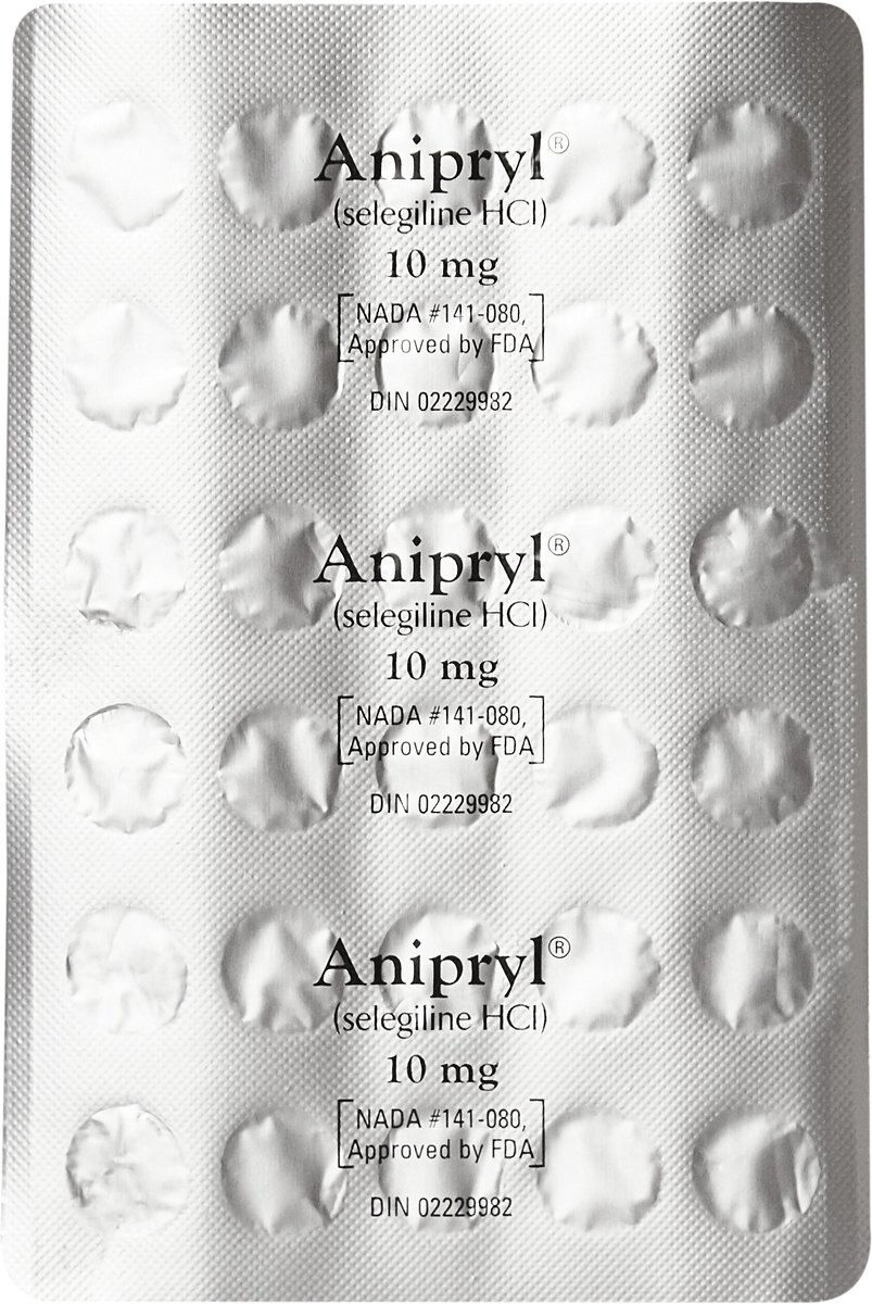 ANIPRYL (Selegiline HCl) Tablets for Dogs, 30 tablets, 10-mg - Chewy.com