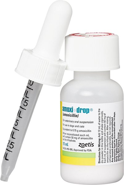 Amoxi-Drop (Amoxicillin) Oral Suspension for Dogs & Cats, 50-mg, 15-mL - Chewy.com