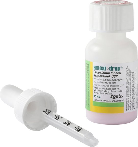 Amoxi-Drop (Amoxicillin) Oral Suspension for Dogs & Cats, 50-mg, 15-mL ...