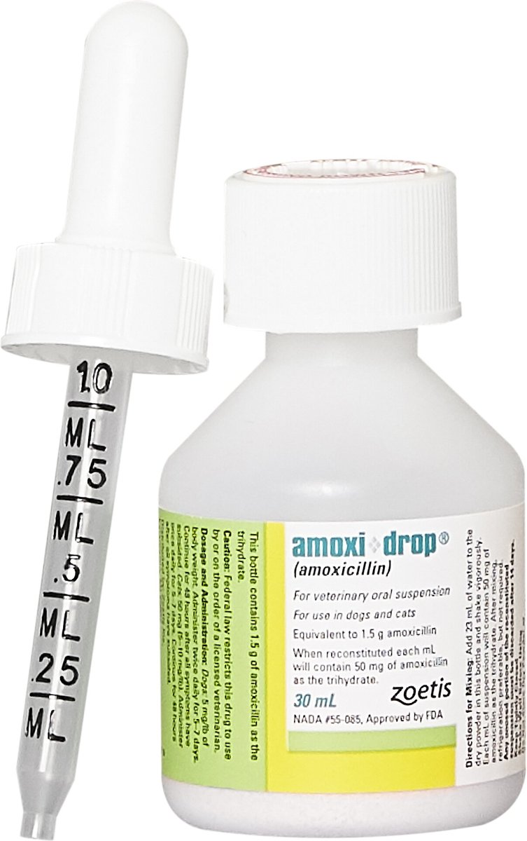 Amoxi-Drop (Amoxicillin) Oral Suspension for Dogs & Cats, 50-mg, 30-mL ...