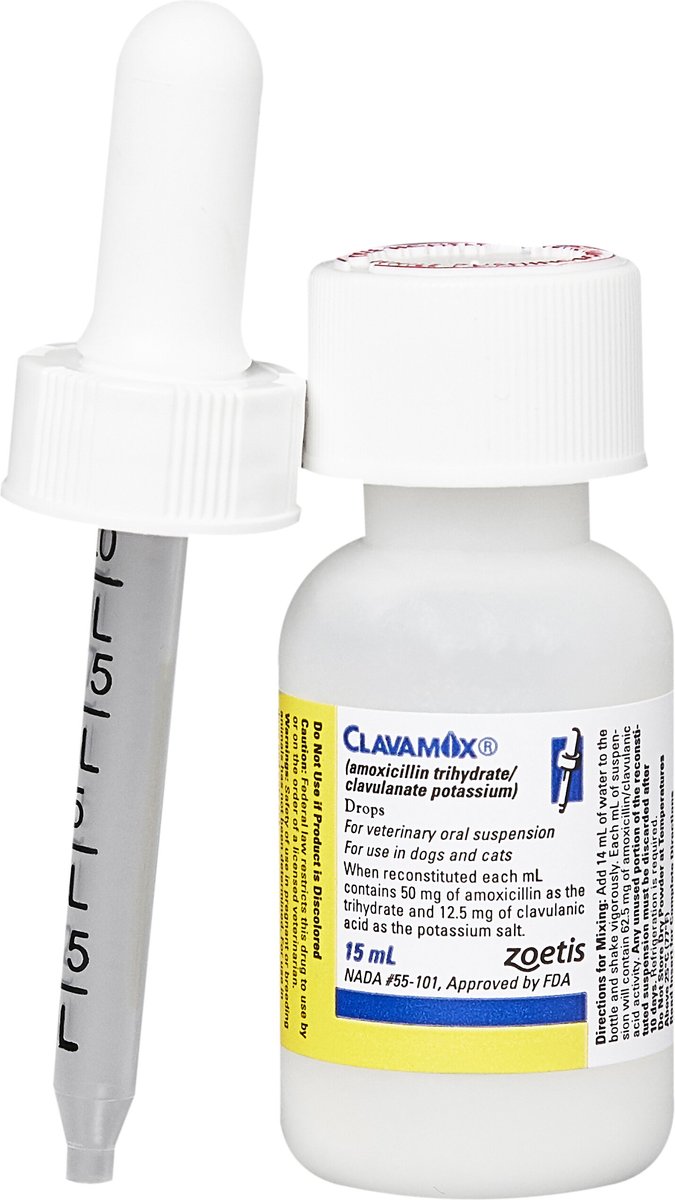 CLAVAMOX (Amoxicillin / Clavulanate Potassium) Oral Suspension for Dogs & Cats, 62.5-mg/mL, 15 ...