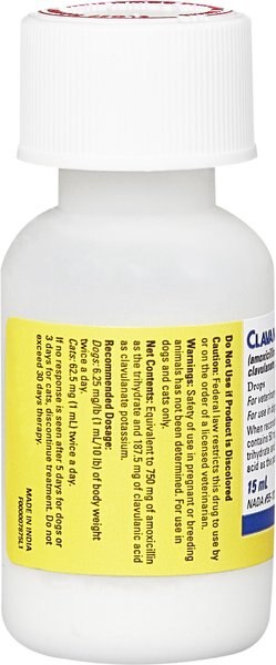 CLAVAMOX (Amoxicillin / Clavulanate Potassium) Oral Suspension for Dogs ...