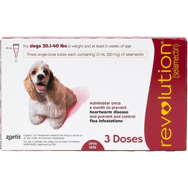 Revolution - Free shipping | Chewy
