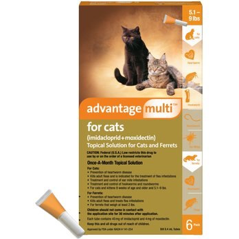 Advantage Multi - Free shipping | Chewy