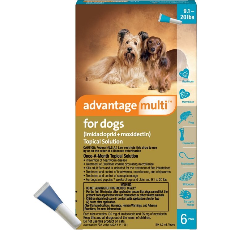 Advantage Multi - Free shipping | Chewy