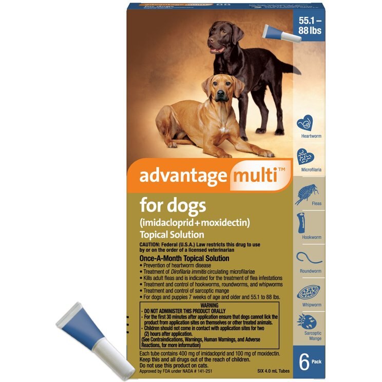 Advantage Multi - Free shipping | Chewy