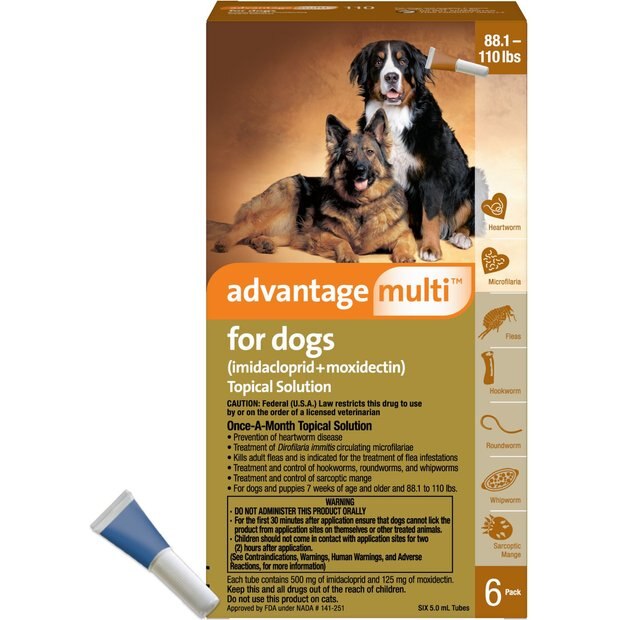 Advantage Multi - Free shipping | Chewy