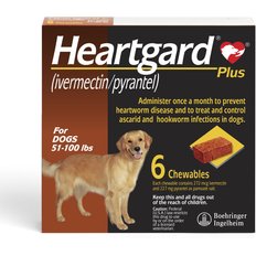 Online Pet Pharmacy - Chewy | Prescription Pet Medicine (Free Shipping)