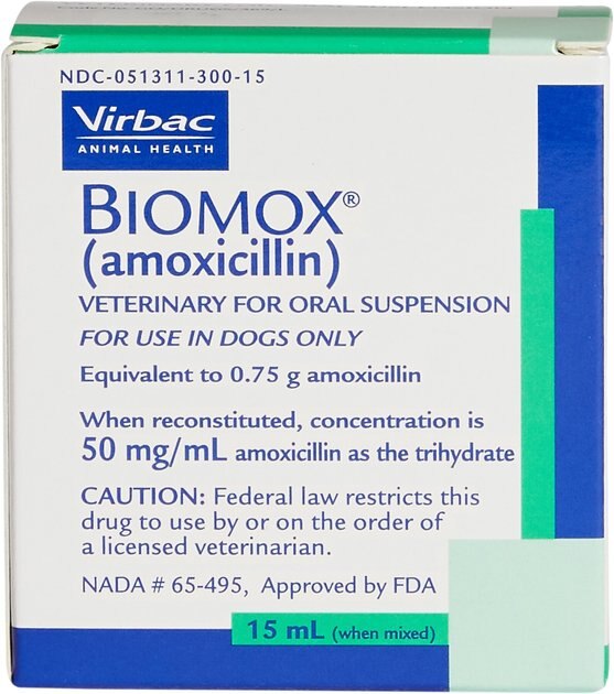 BIOMOX (Amoxicillin) Oral Suspension for Dogs, 50 mg/mL 15-mL - Chewy.com