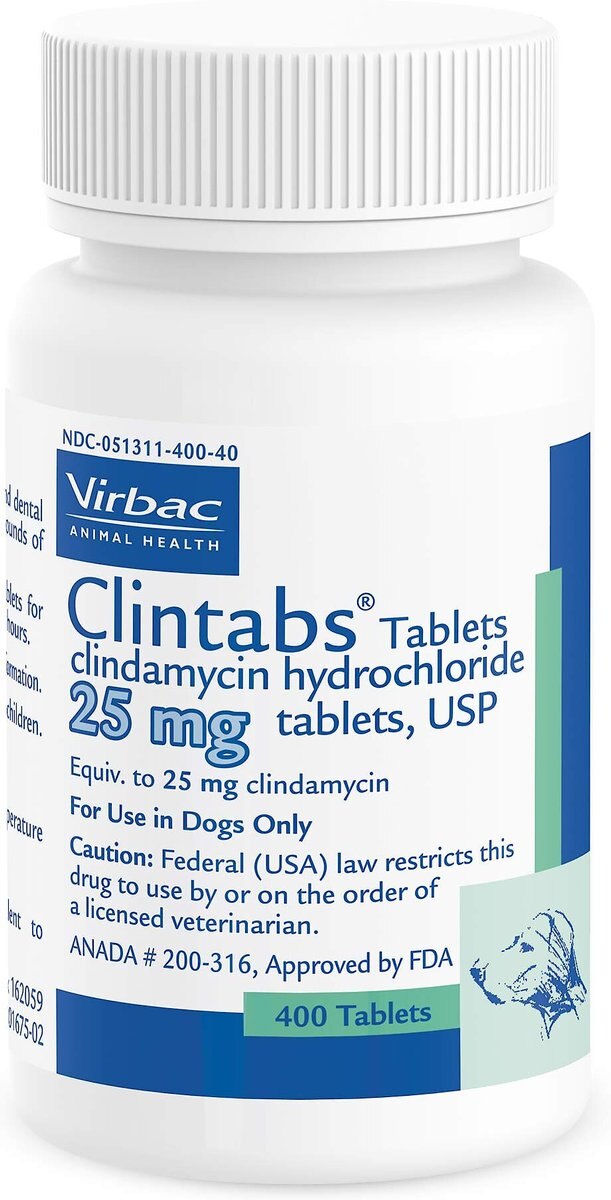 CLINTABS (Clindamycin HCl) Tablets for Dogs, 25-mg, 1 tablet - Chewy.com