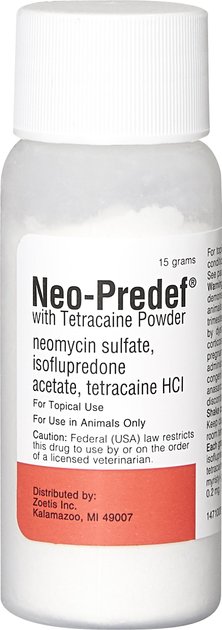 NEO-PREDEF with Tetracaine Topical Powder for Dogs, Cats & Horses, 15-g ...