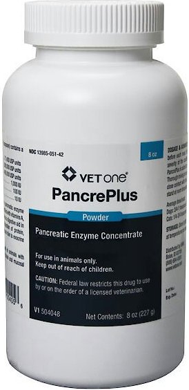 PANCREPLUS Powder for Dogs & Cats, 8-oz - Chewy.com