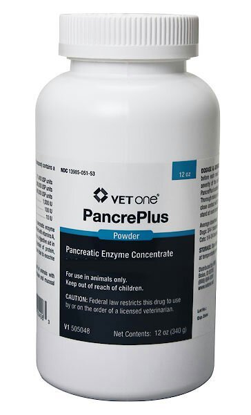 PANCREPLUS Powder for Dogs & Cats, 12-oz - Chewy.com