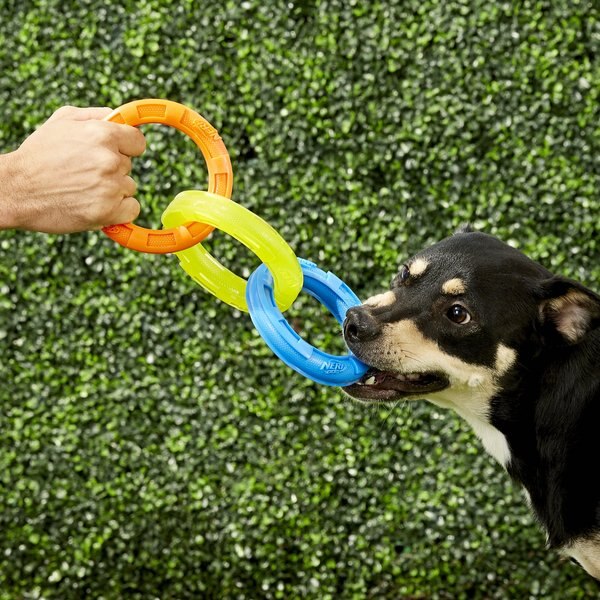 NERF DOG Tuff Tug 3 Ring Dog Toy - Chewy.com
