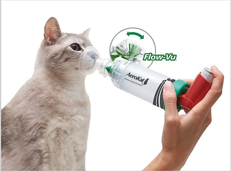 TRUDELL MEDICAL INTERNATIONAL AeroKat Cat Asthma Aerosol Chamber ...