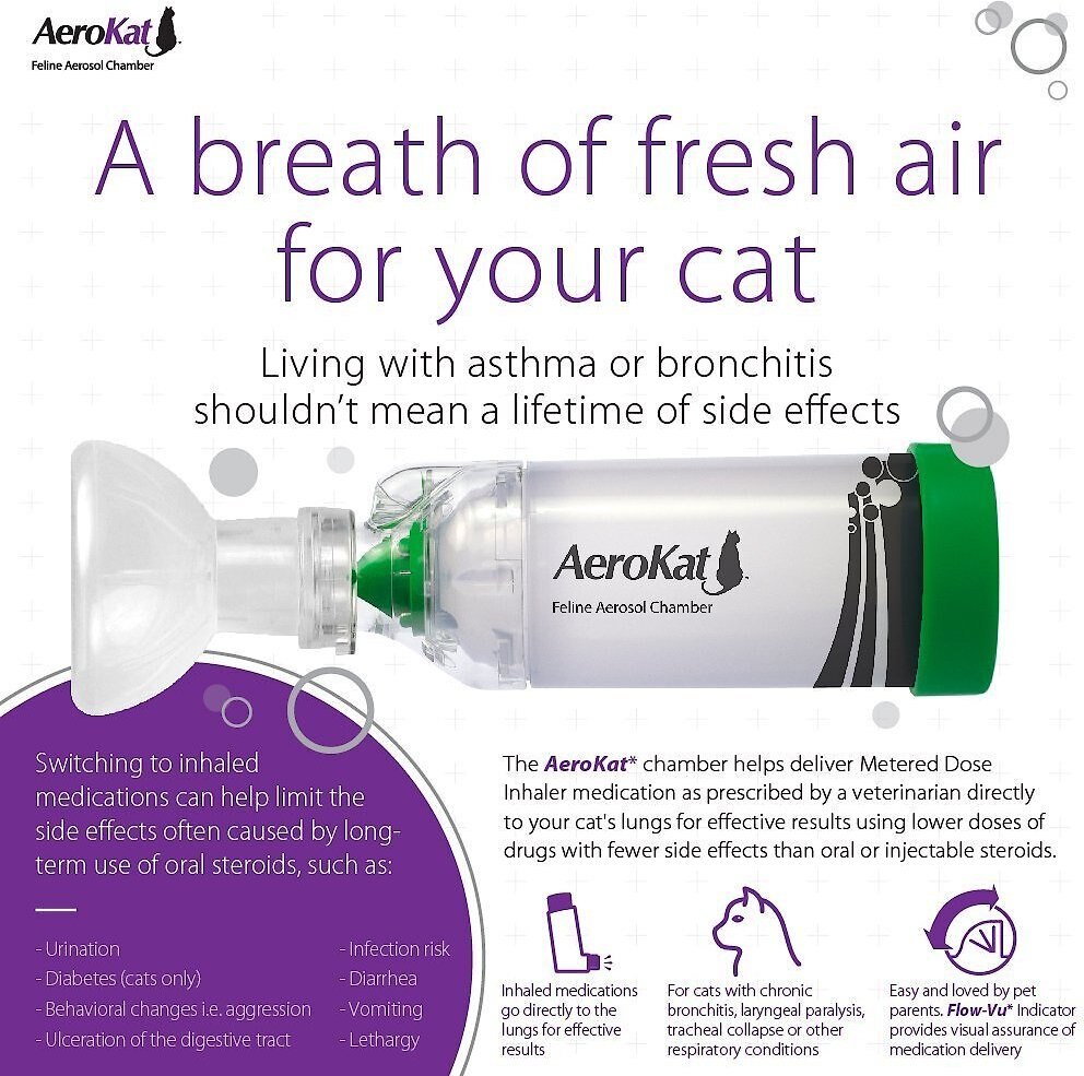 TRUDELL MEDICAL INTERNATIONAL AeroKat Cat Asthma Aerosol Chamber ...