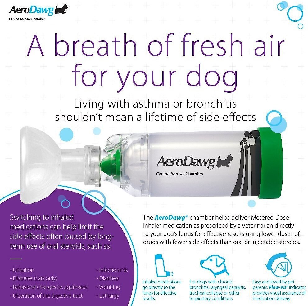 TRUDELL MEDICAL INTERNATIONAL AeroDawg Dog Asthma Aerosol Chamber ...