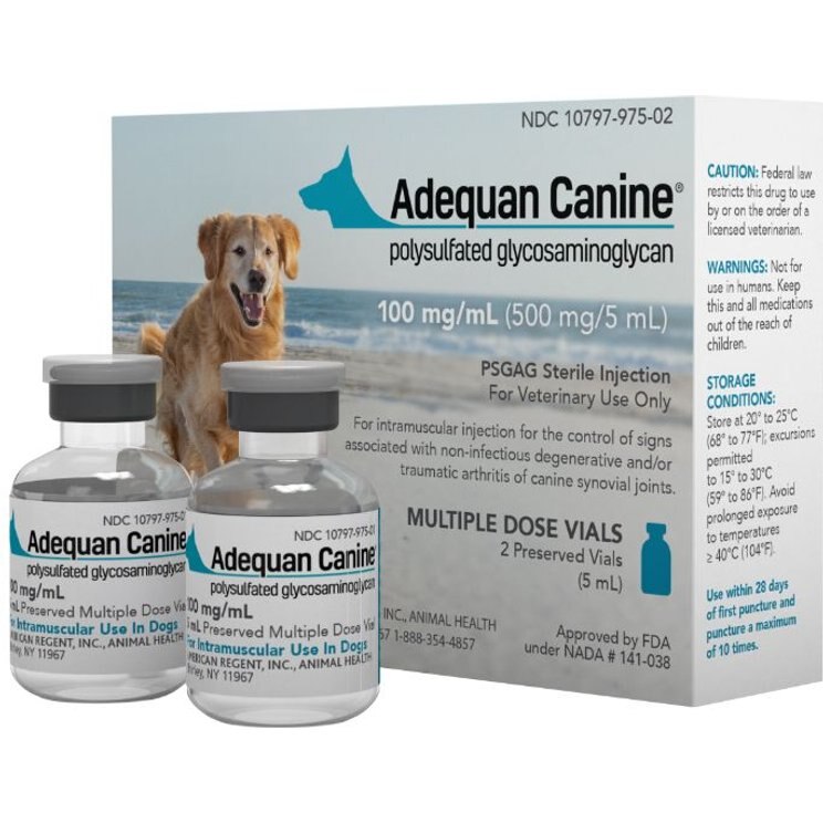 Pain Meds for Dogs: Dog Pain Relief Medicine (Ships Free) | Chewy RX