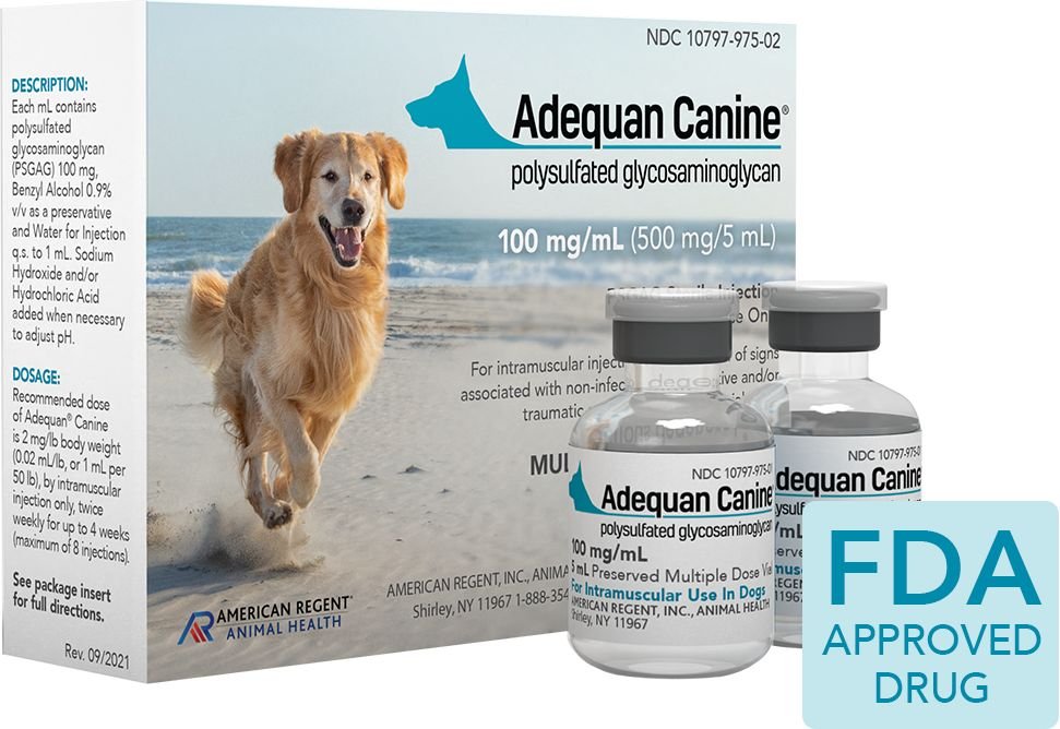 ADEQUAN CANINE (polysulfated glycosaminoglycan) Injectable for Dogs ...