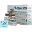 ADEQUAN CANINE (polysulfated glycosaminoglycan) Injectable for Dogs ...
