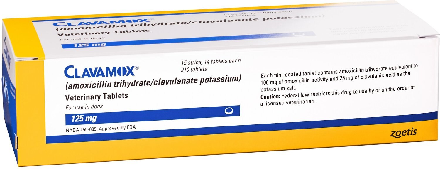 CLAVAMOX (Amoxicillin / Clavulanate Potassium) Chewable Tablets for ...